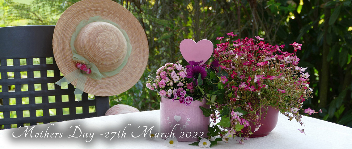 Home | Joys Flowers for you | florist Dublin | Flower delivery Dublin